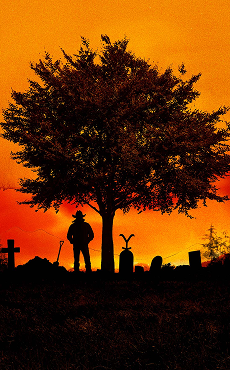 Dutton Ranch serie 2026 SkyShowtime Nederland Dutton Ranch serie 2026 SkyShowtime Nederland